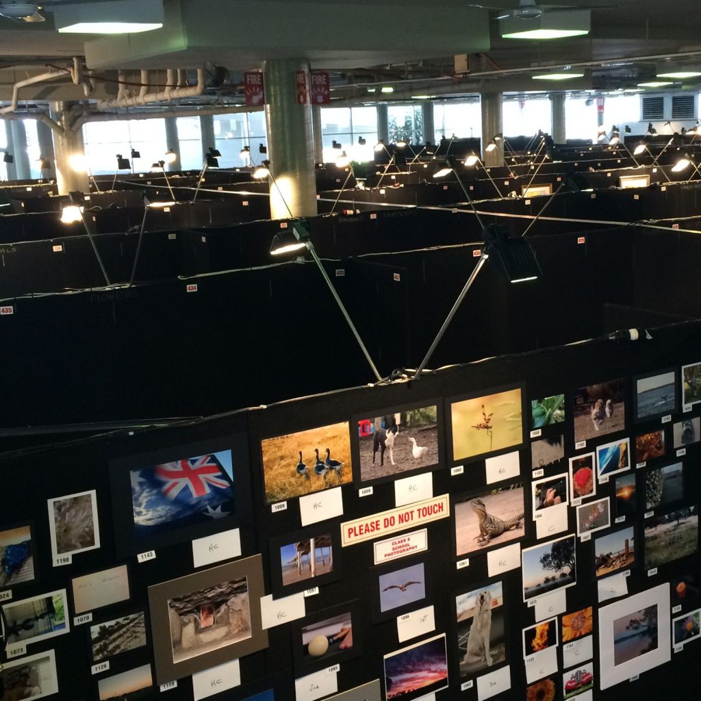 LED Arm light – Art Shows | Exhibition & Display Services